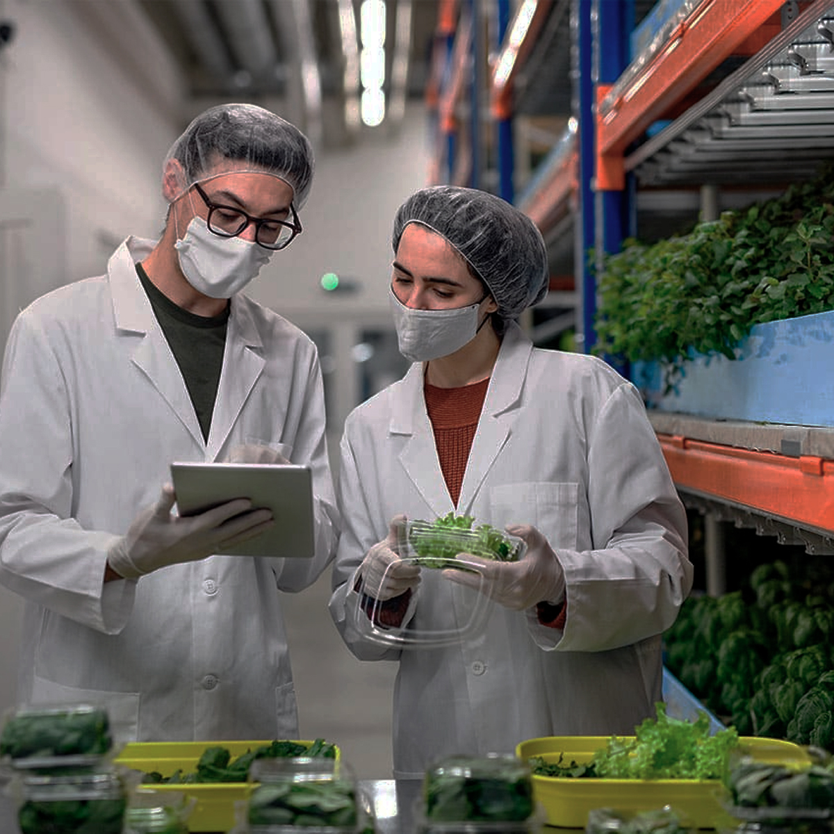 Página Principal | Formación ISONOVA